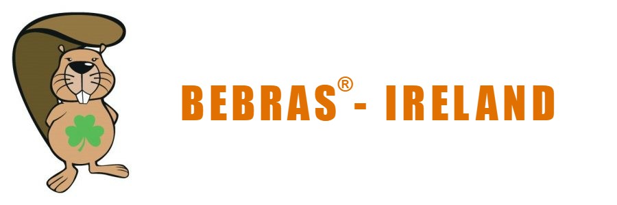Are you ready for the Bebras Challenge? – Teachnet.ie